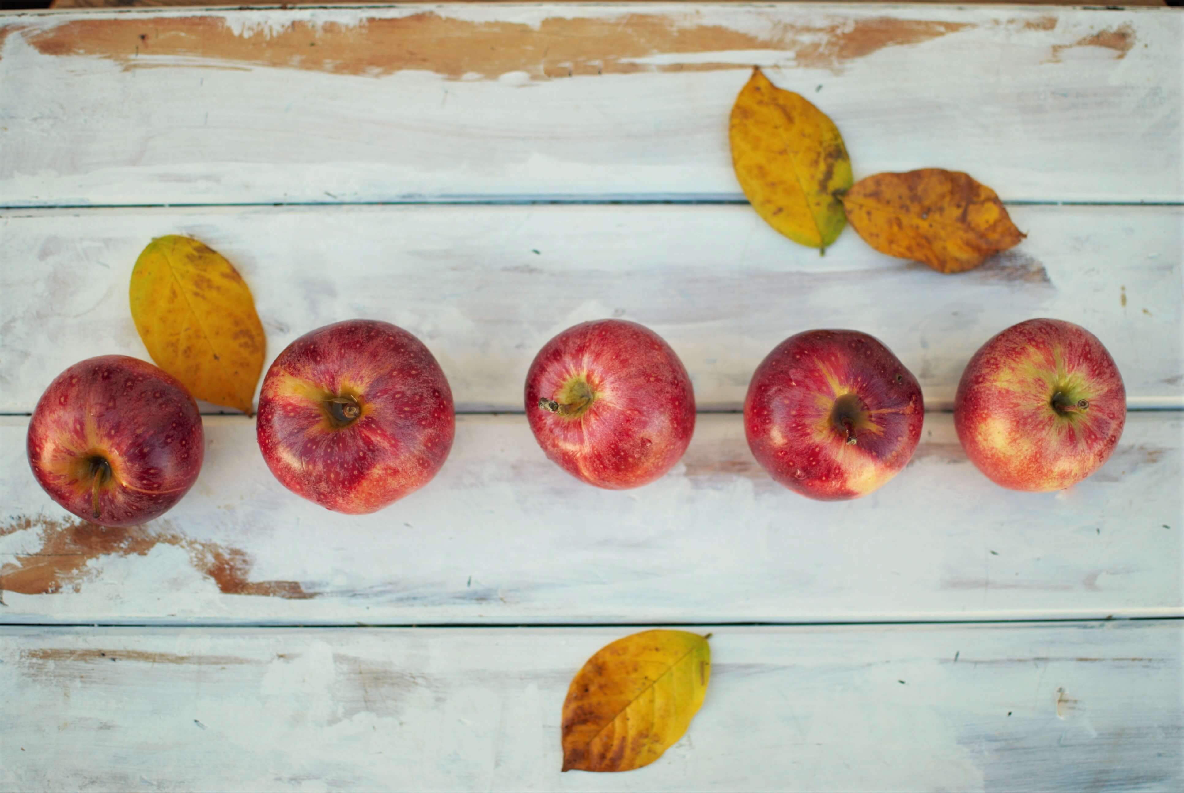 73 Fun Apple Crafts And Apple Themed Activities For Kids Kid Activities