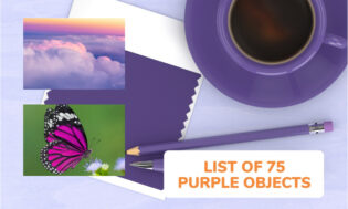 100 Purple Things and Purple Activity Ideas for Kids