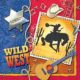 47 Fun Wild West Activities for Kids [Western Themed Party Ideas]