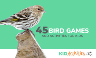 45 Fun Bird Games and Activities for Kids [The Best Bird Theme Ideas]