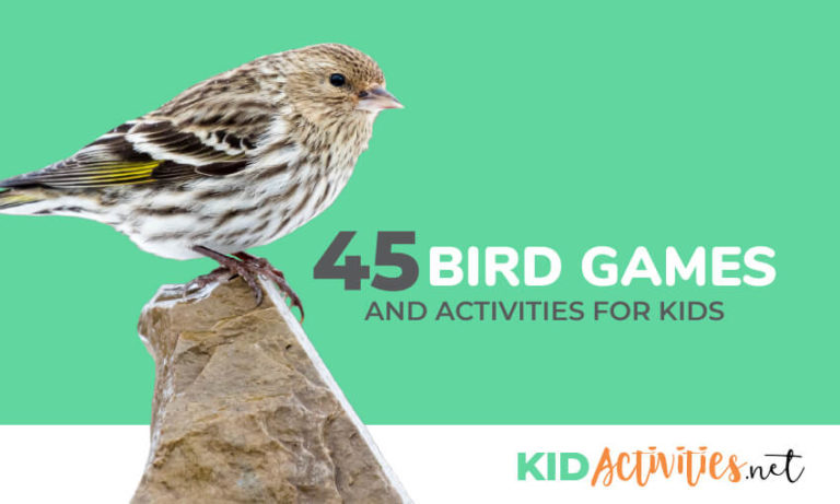 45 Fun Bird Games and Activities for Kids [The Best Bird Theme Ideas]