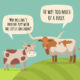 45 Cow Jokes for Kids that Adults Will Love Too