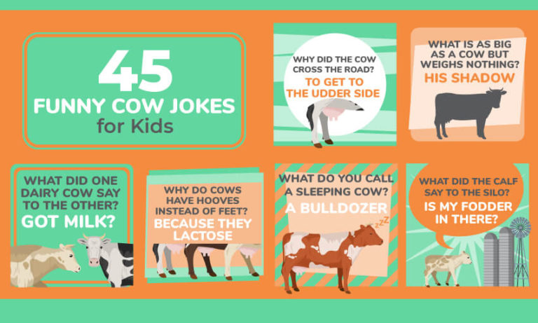 45 Cow Jokes for Kids that Adults Will Love Too