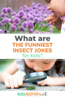 61 Funny Insect Jokes for Kids - Kid Activities