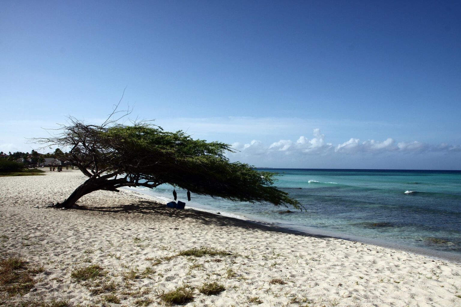 20 Things to Do in Aruba with Kids | Family Activities in Aruba List