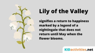 May Themes and Activities for Kids