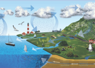 57 Science Project Ideas For 6th Grade