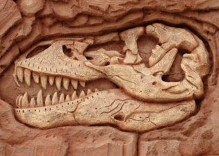 57 Science Project Ideas For 6th Grade