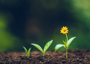 57 Science Project Ideas For 6th Grade