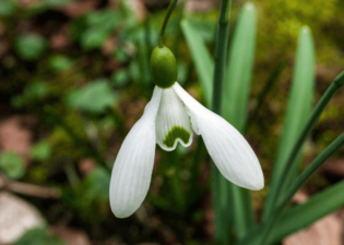 57 Science Project Ideas For 6th Grade