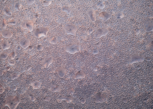 57 Science Project Ideas For 6th Grade