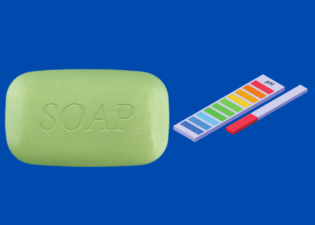 57 Science Project Ideas For 6th Grade