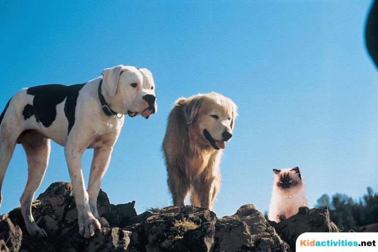 50 Inspiring Movies for Kids