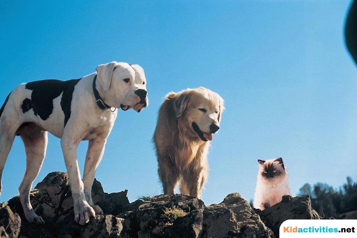 50 Inspiring Movies for Kids